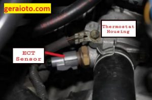 Fungsi Engine Coolant Temperature Sensor: 5 Peran - Gerai Otomotif